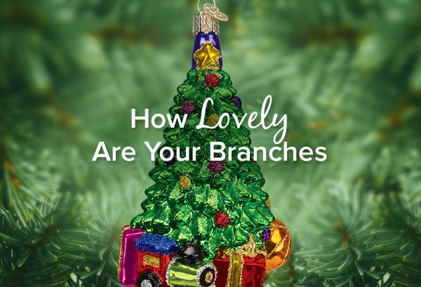 Maximizing the Lifespan of Your Christmas Tree: What You Need to Know ...