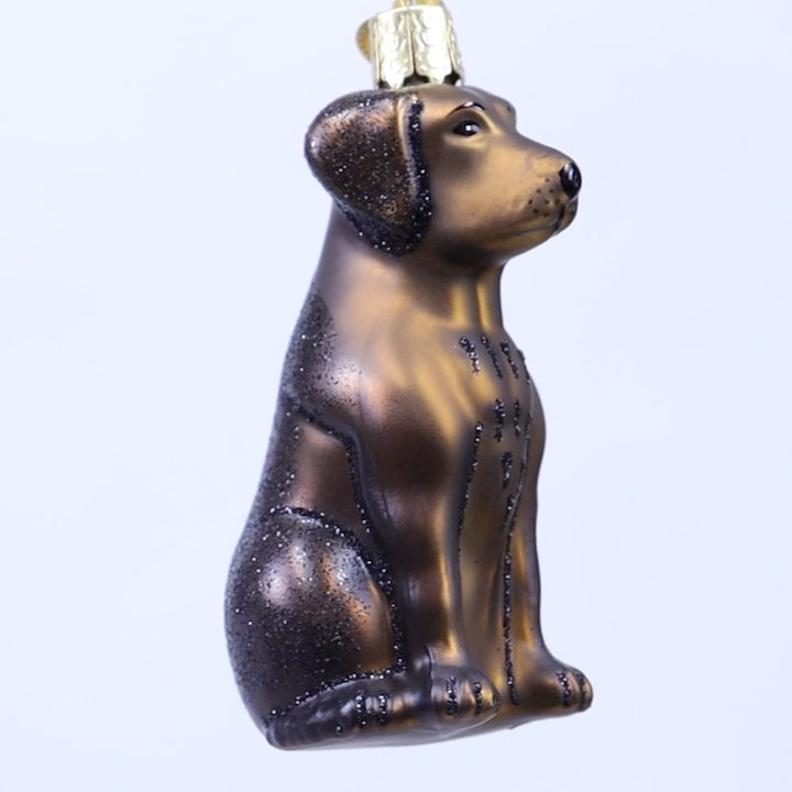 Chocolate Labrador Ornament | Old World Christmas™