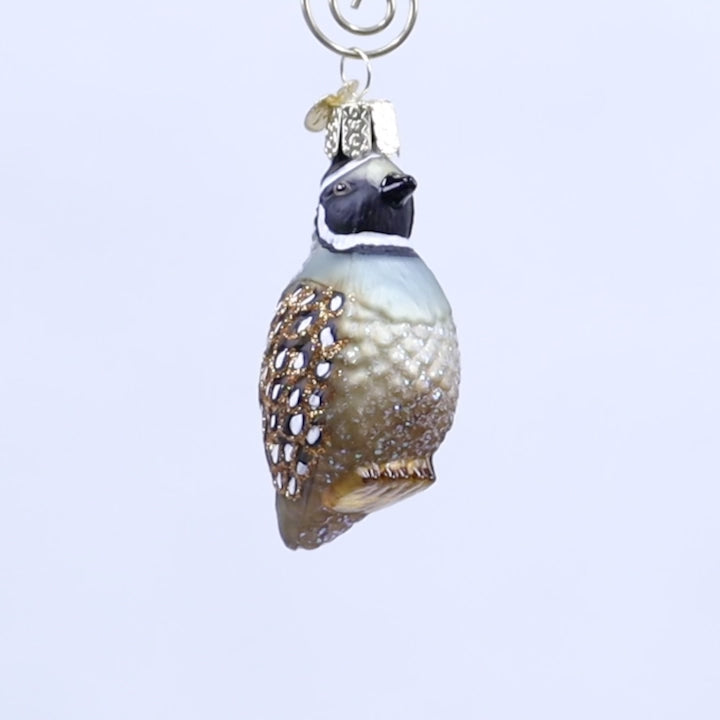 Quail Ornament – Old World Christmas