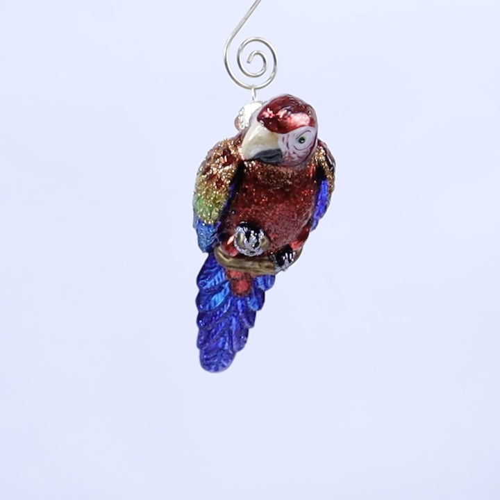 Tropical Parrot Ornament | Old World Christmas™