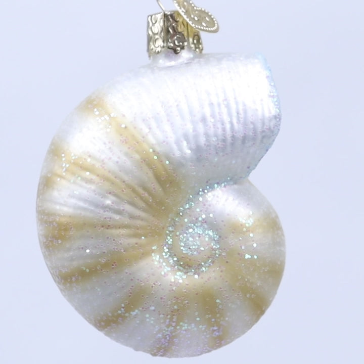 Nautilus Shell Ornament | Old World Christmas™