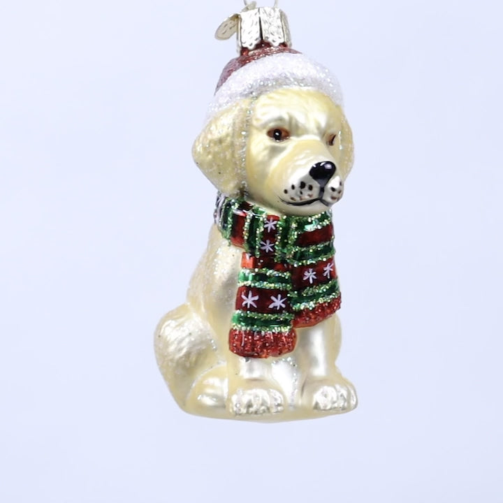 Holiday Yellow Labrador Puppy Ornament – Old World Christmas