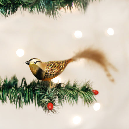 Clip-On Bird Christmas Tree Ornaments | Old World Christmas™